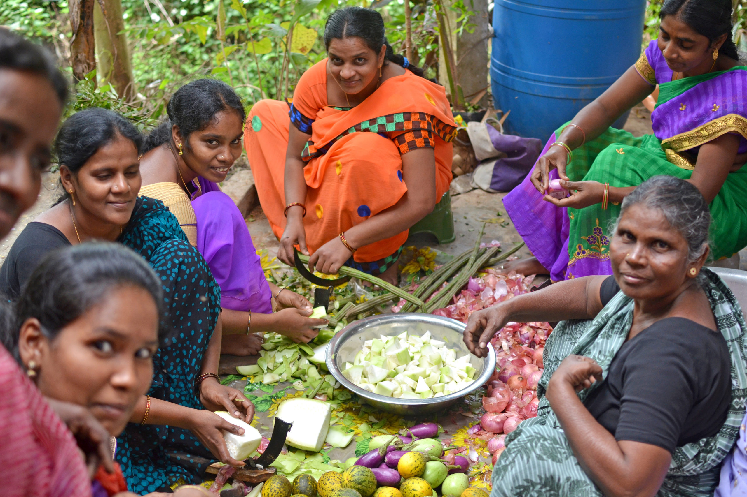 Provide Food – Foreign Mission ALCA